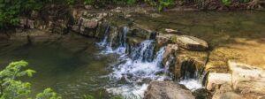 Best Olympic National Park RV Camping & Campgrounds