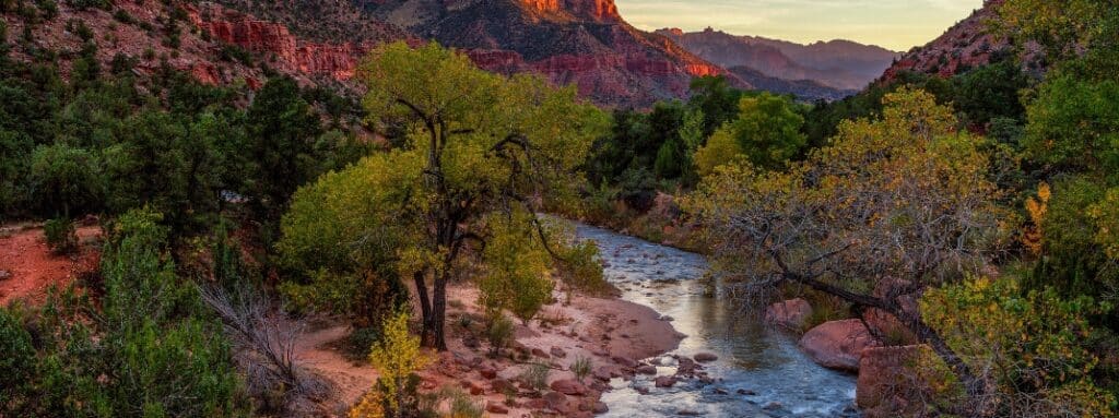 Top 6 Zion National Park Campgrounds & RV Parks