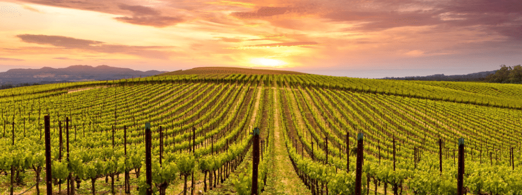 Ultimate Girls Weekend Road Trip In California