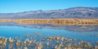 Las Vegas To Reno Road Trip Itinerary