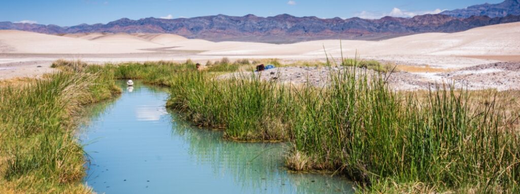 Best Death Valley National Park RV Camping & Campgrounds