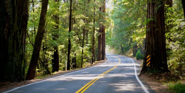 San Francisco to Redwoods National Park Road Trip